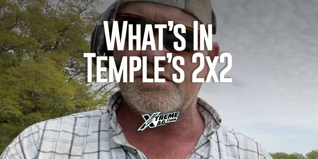 Unlock Temple's 2x2 Planter Mix Secrets for Optimal Crops!