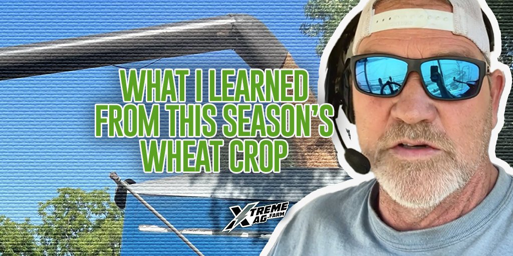 Your Wheat Crop Yield: Expert Farming Techniques Revealed