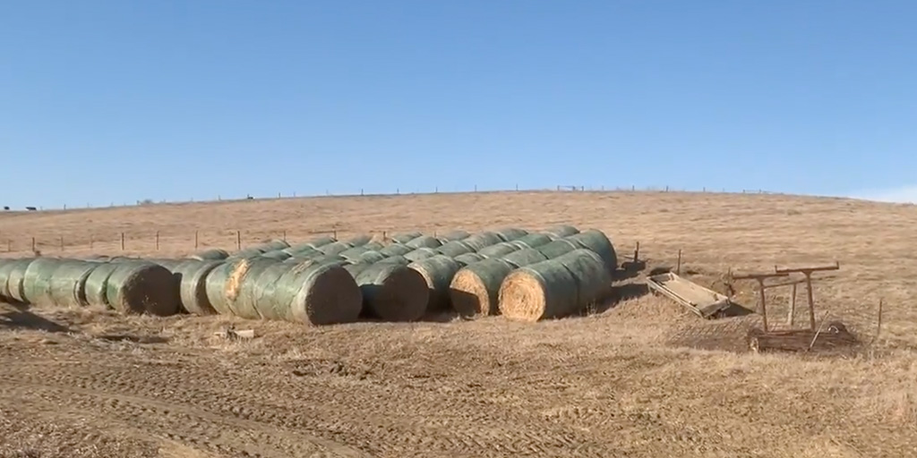 Kelly Garrett's Journey in Regenerative Farming Practices