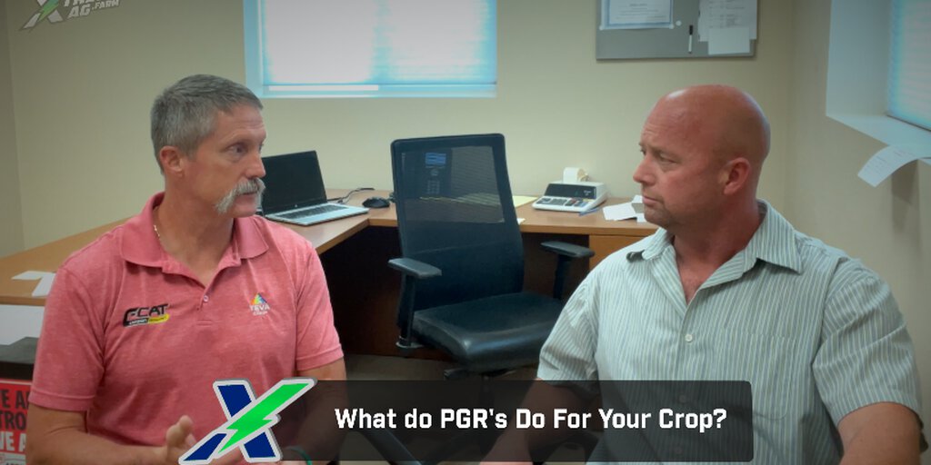 Understanding the Role of PGRs in Crop Growth