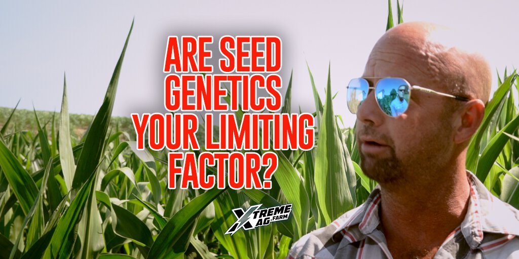 The Impact of Seed Genetics on Corn Growth