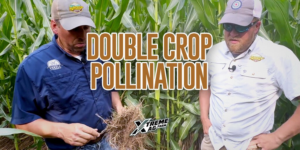 Strategies for Maximizing Yield with Double Crop Corn Strategies for Maximizing Yield with Double Crop Corn