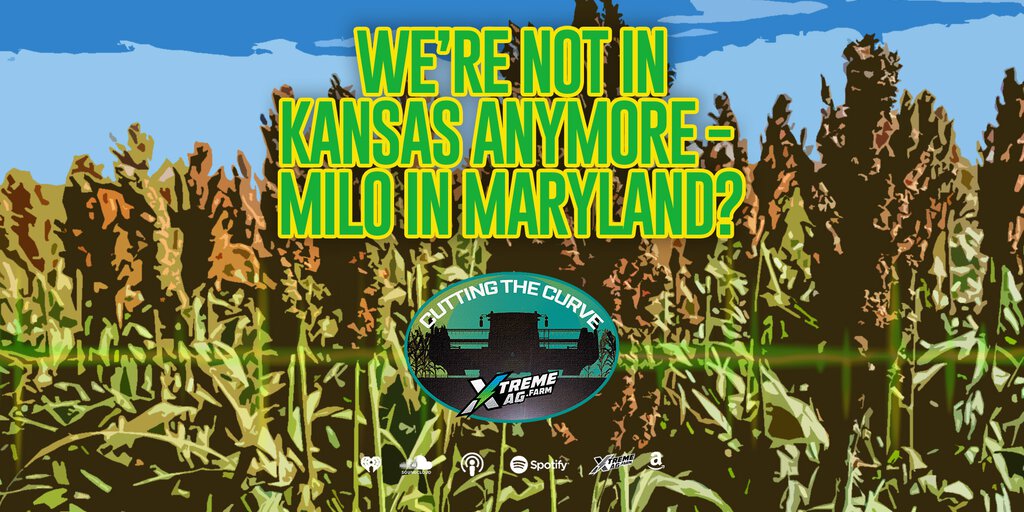 Temple's Foray into Milo Farming: A Maryland Case Study