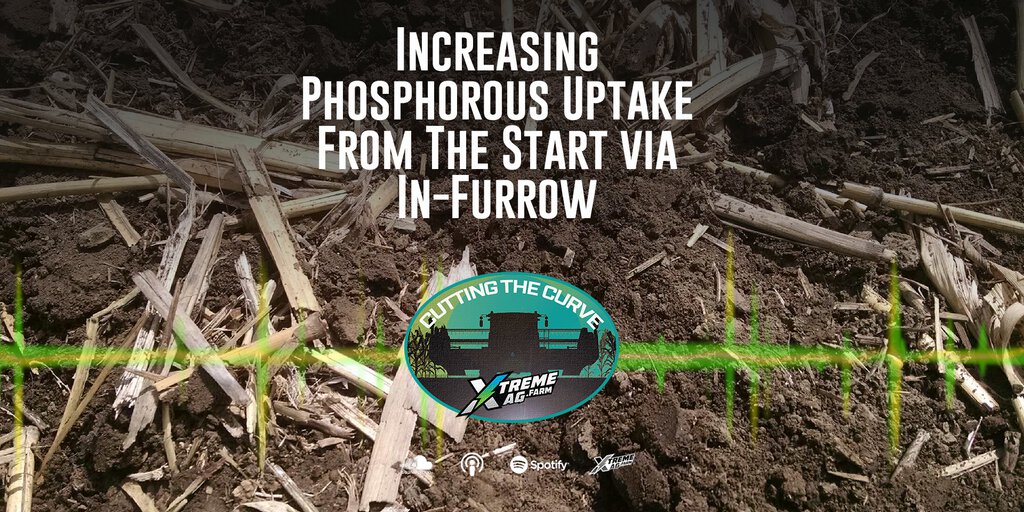 Phosphorous Uptake Efficiency in Farming