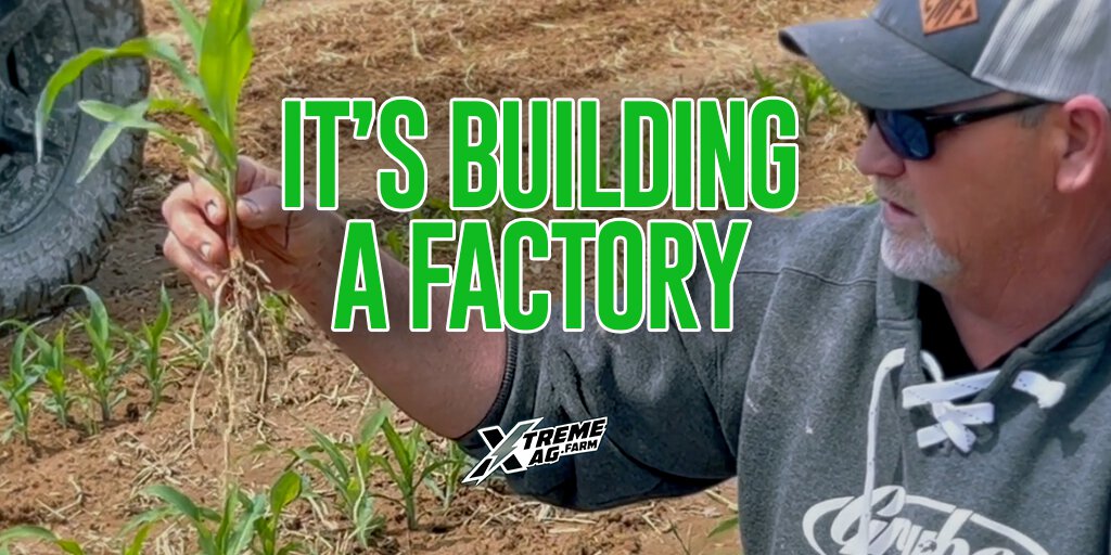 Unlock Crop Potential: Build the Plant's Underground Factory