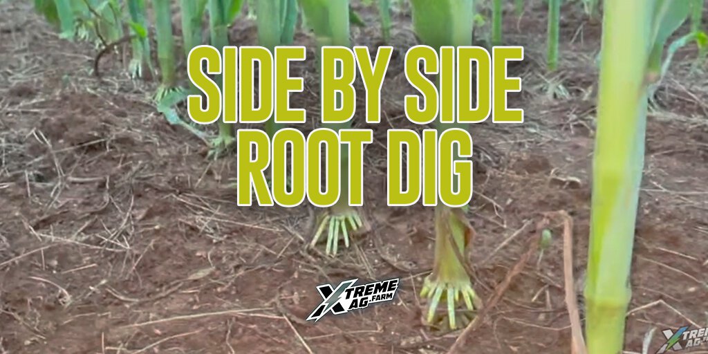 Root Dig Trial: Chad Unveils His Crop Health Insights