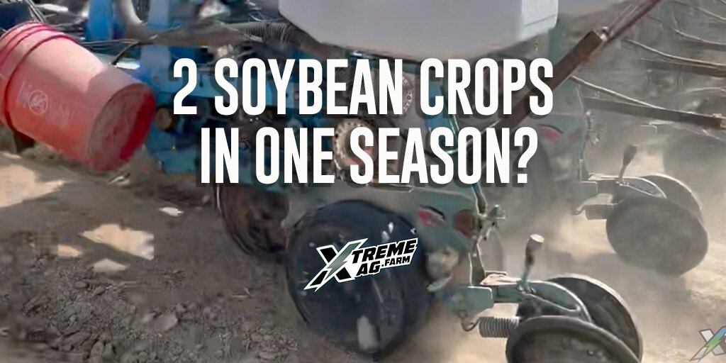 Double-Crop Soybeans in a Single Season: Matt's Innovative Approach