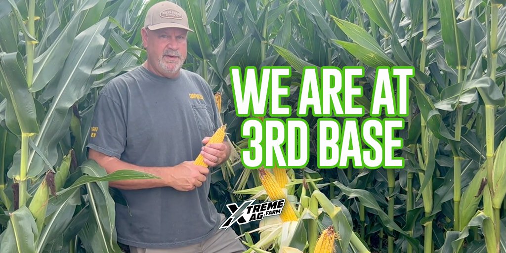 Crop Fertility: Learning About Grower Standard Practice Corn