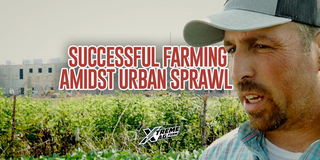 Farming Amid Urban Expansion: Adapting to Change