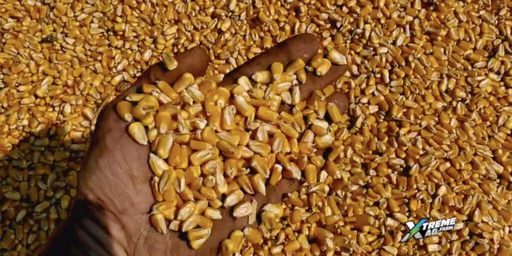 Maximizing Harvest Efficiency: Chad's XPR2 Concaves Test