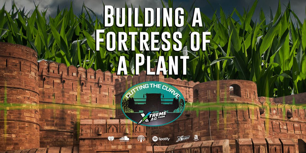 Temple Rhodes' Strategy for Crop Protection in 2023