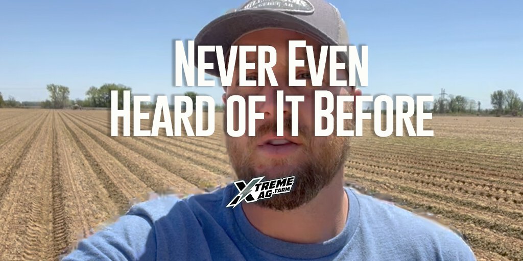 Discover Integra Corn: The Seed That Surprised Miles Farms