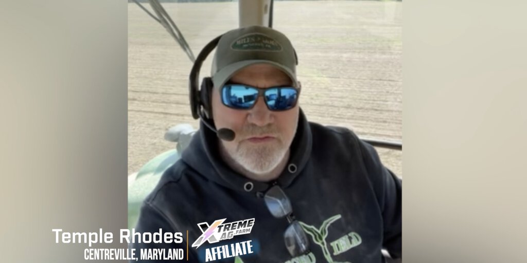 Unveiling the Intricacies of Phosphorus Management in Crops