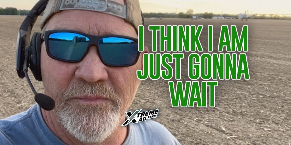 Strategic Patience in Corn Harvesting by Temple