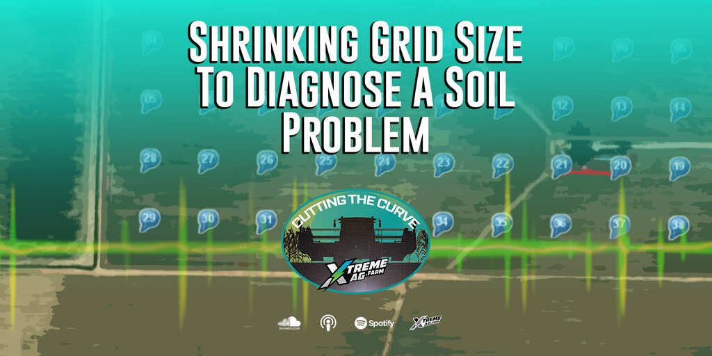 Enhancing Soil Sampling for Accurate Diagnosis