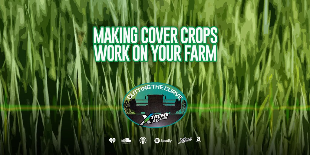 Integrating Cover Crops for Improved Soil Health
