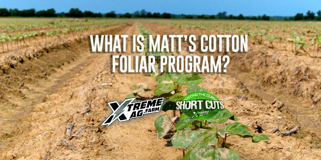 Elevating Cotton Yield: Matt Miles' Intensive Foliar Regimen