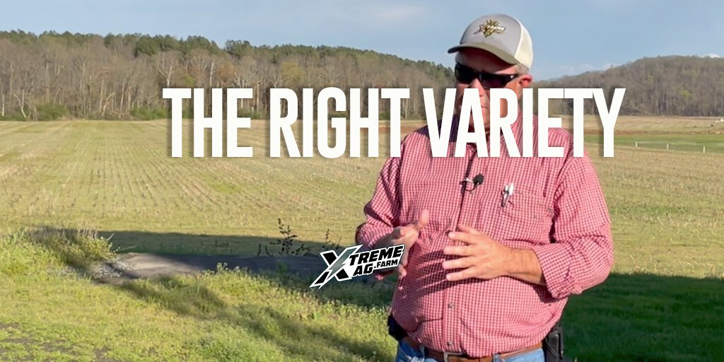 Unlock Success with Integra Corn Seed Variety Selection