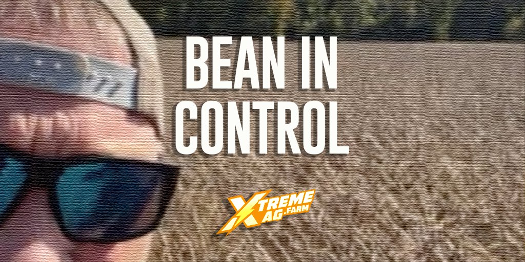 Temple Rhodes' Insightful Beans on Beans Trial