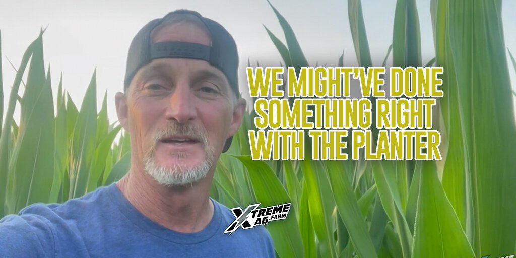 Maximize Crop Yield: Chad's Corn Scouting Insights