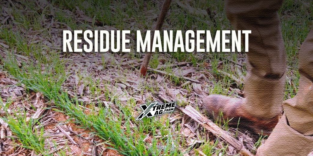 Optimizing Wheat Growth through Residue Management