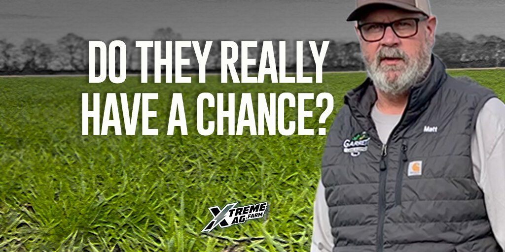 Matt Miles: Unveiling the Wheat Wager Champion's Strategy