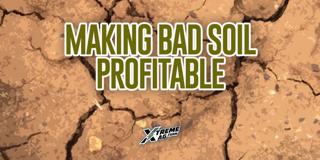 Bad Soil? Tips to Maximize Yield from Below-Average Soils