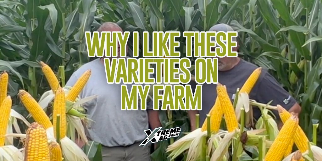 Explore New AgriGold Varieties: Matt's Top Crop Picks 2021