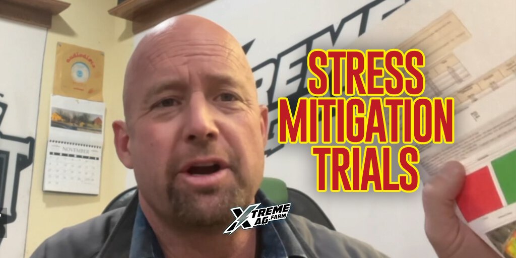 Inside Kelly's Terramar Trial