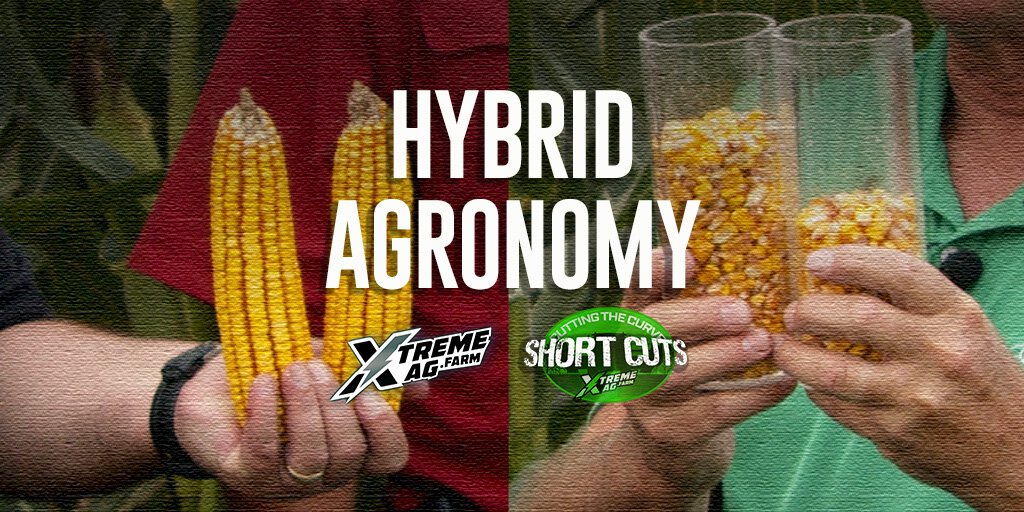 Maximize Your Farm's Yield: Expert Agronomy Tips: Agrigold