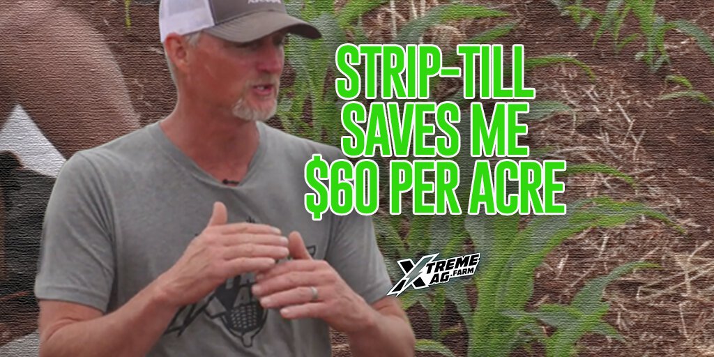 Strip Tillage vs Conventional: Economic & Fertility Benefits