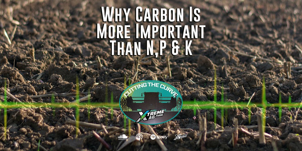 Carbon's Pivotal Role in Soil Health: Beyond N, P & K