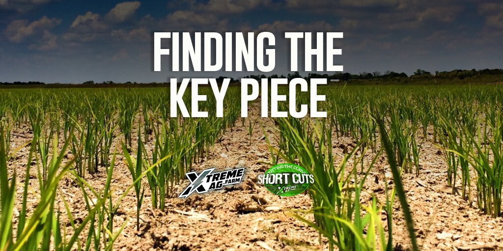 Row Rice Production Enhancements at Miles Farms