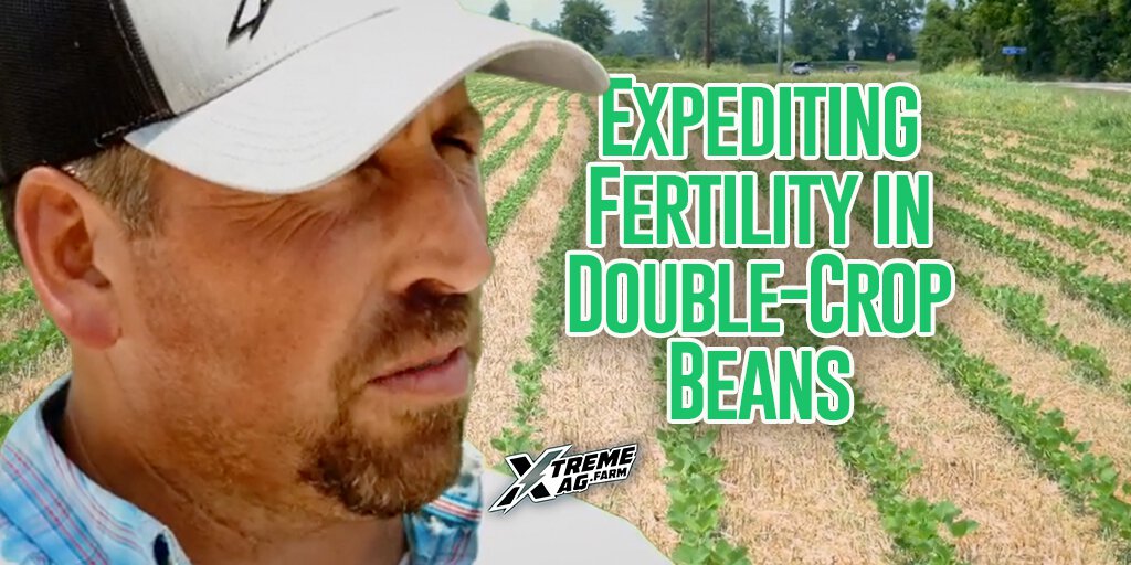 Double-Crop Soybean Success: Balancing Soil Health