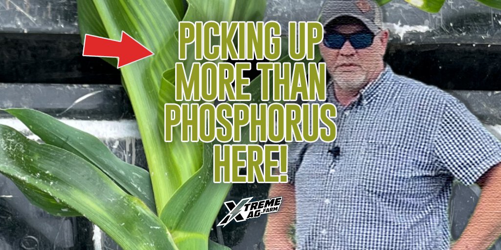 Experience Dramatic Crop Growth with Nutricharge Application