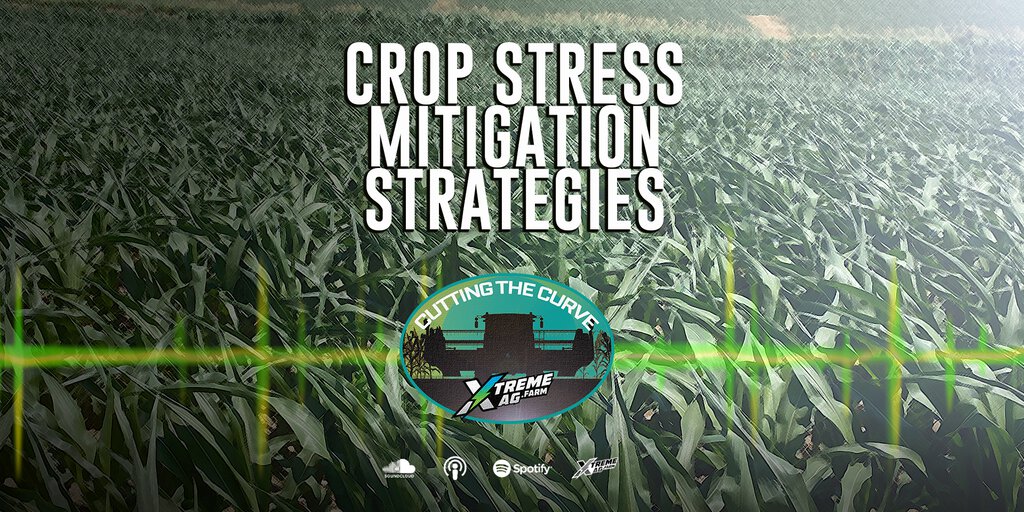 Innovative Strategies for Crop Stress Mitigation