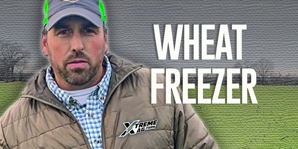 Johnny Verell's High-Yield Wheat Strategy in Extreme Cold