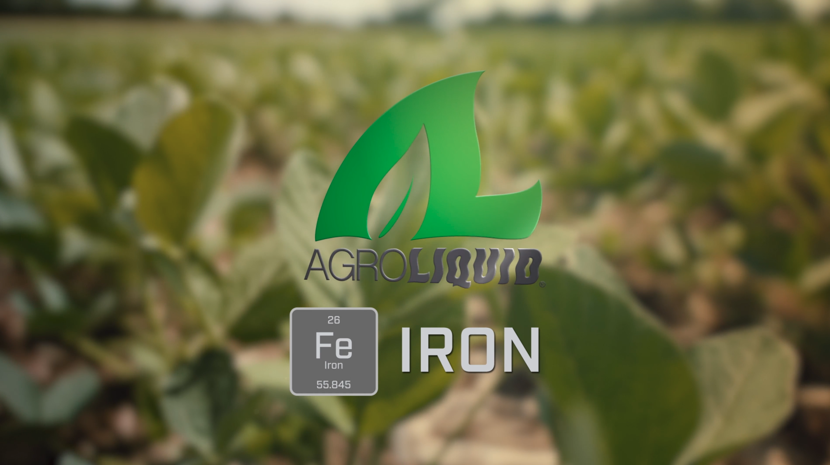 How Iron Boosts Crop Nutrition and Enhances Soil Health