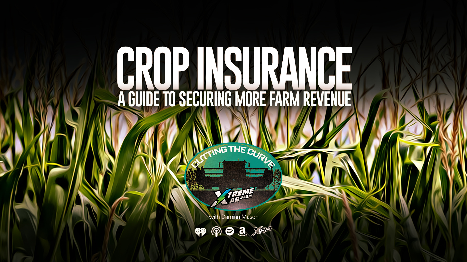 Podcast: Securing Farm Revenue with Crop Insurance: A No-Nonsense Guide