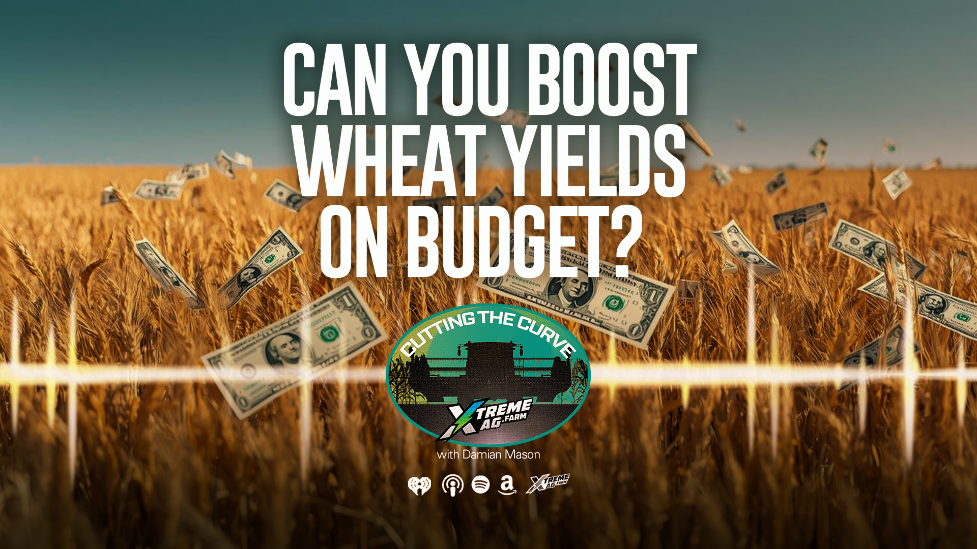 Wheat Fertility ROI Strategies with $30 Foliar Plan