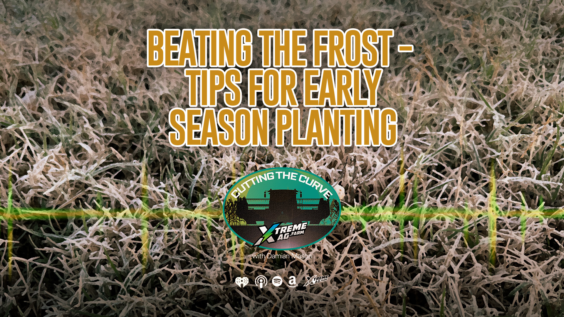 Beating the Frost: Expert Tips for Early Season Planting Success