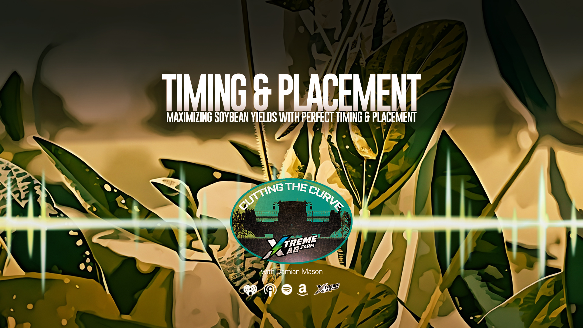 Podcast: Precision Farming Secrets: Maximizing Soybean Yields with ...