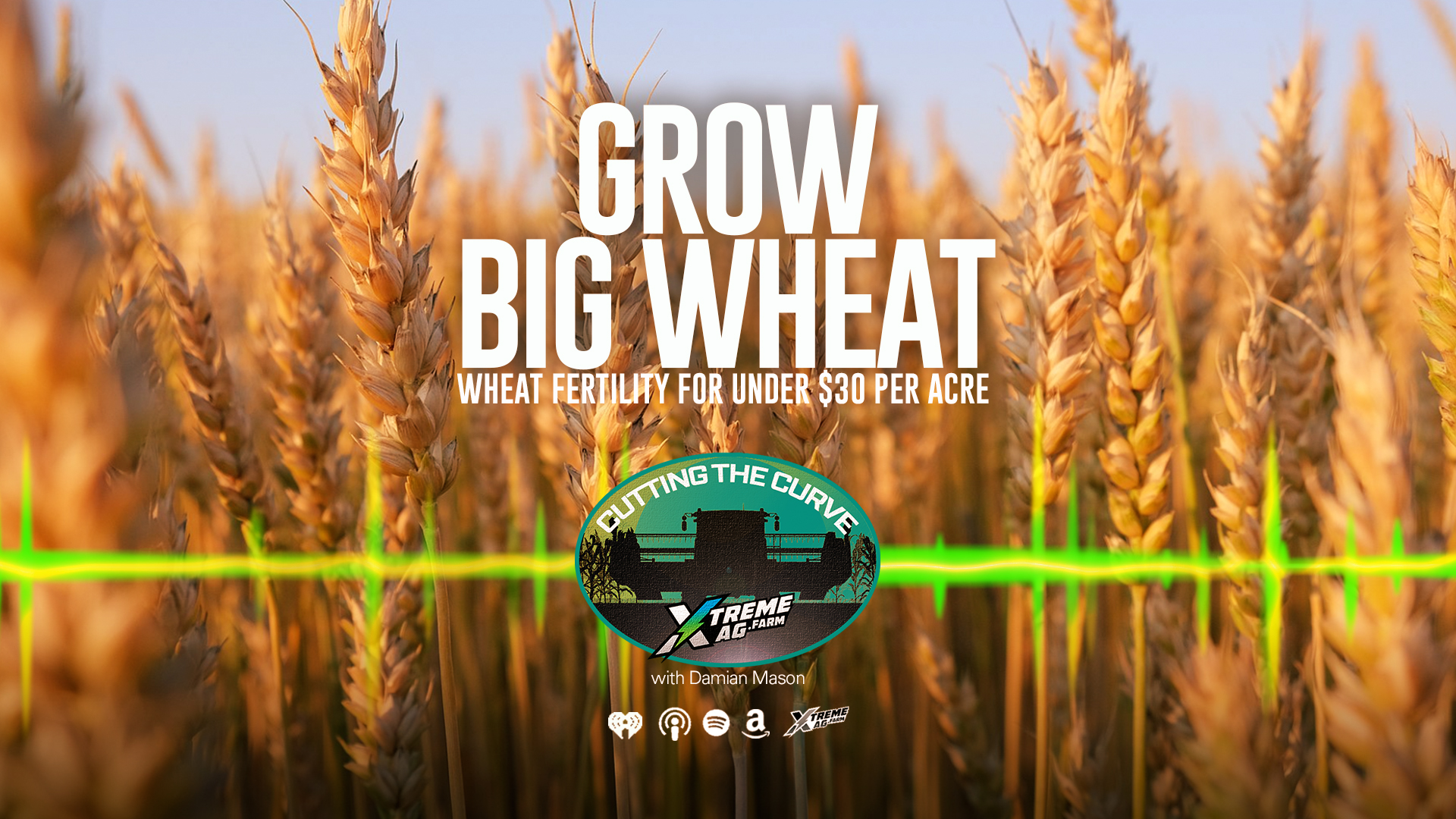Wheat Fertility Budget Tactics That Drive ROI | Grow Wheat Yields