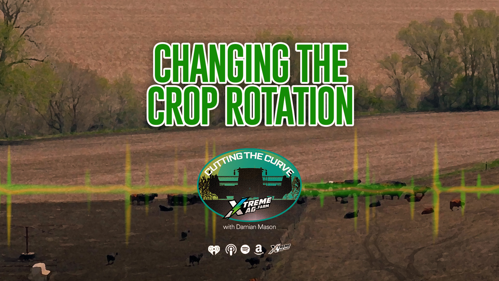 Changing the Crop Rotation — From Corn to Soybeans, to Corn to Cows!