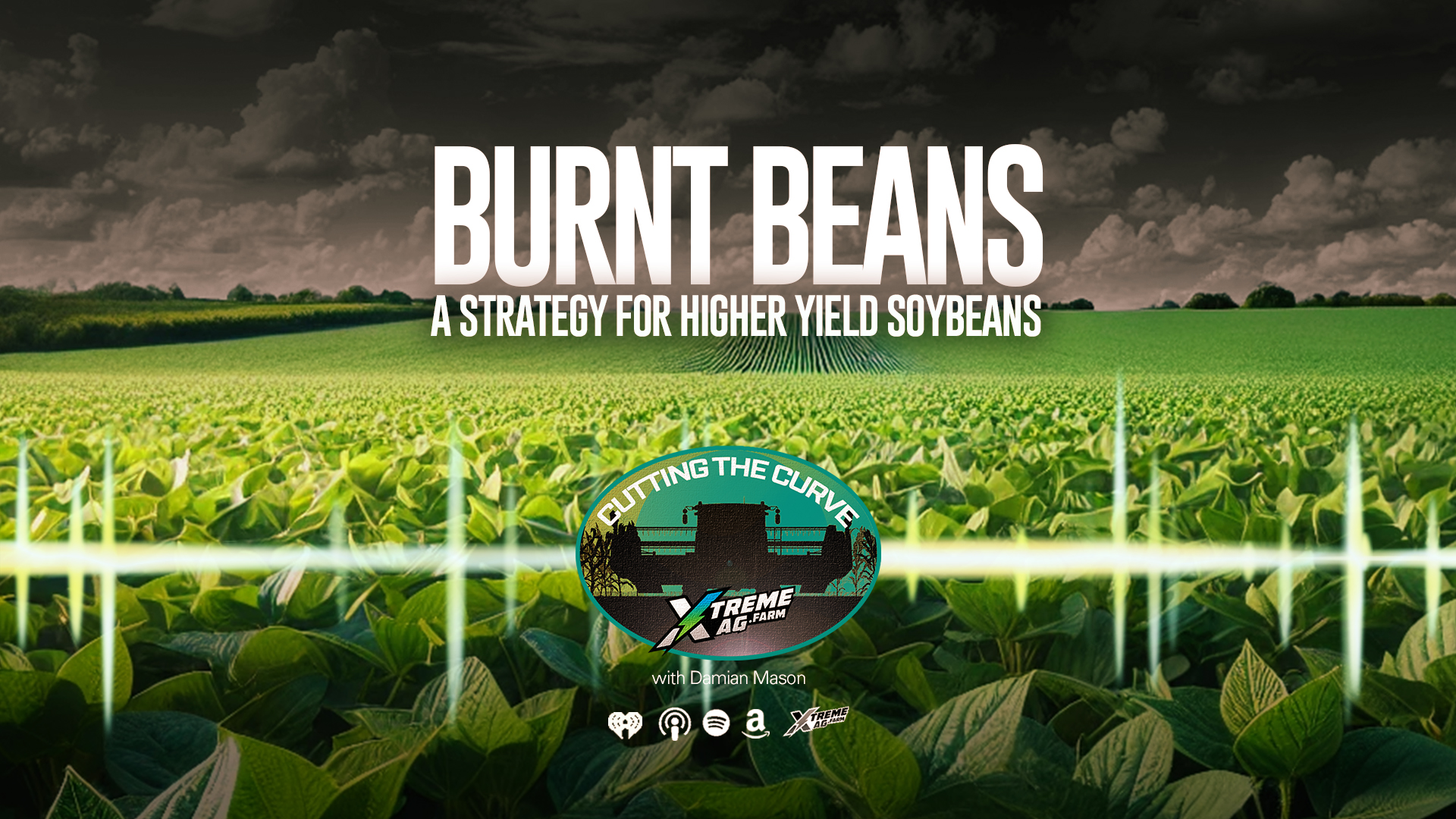Podcast: Burnt Beans — A Strategy For Higher Soybean Yields