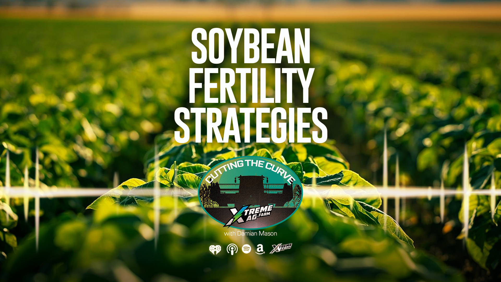 Double Crop Soybean Yield Trials | XtremeAg Podcast