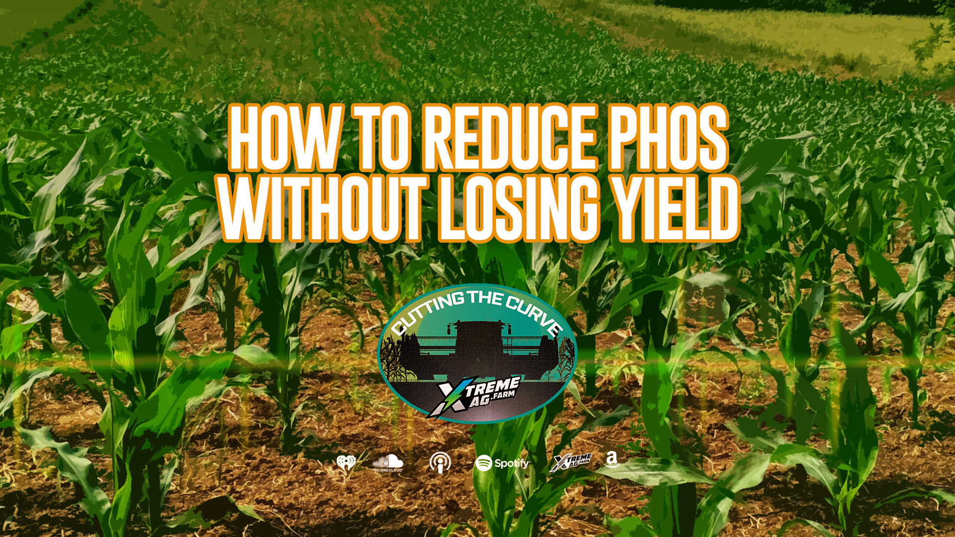Cutting The Curve Podcast: Reduce Phosphorus Without Losing Yield