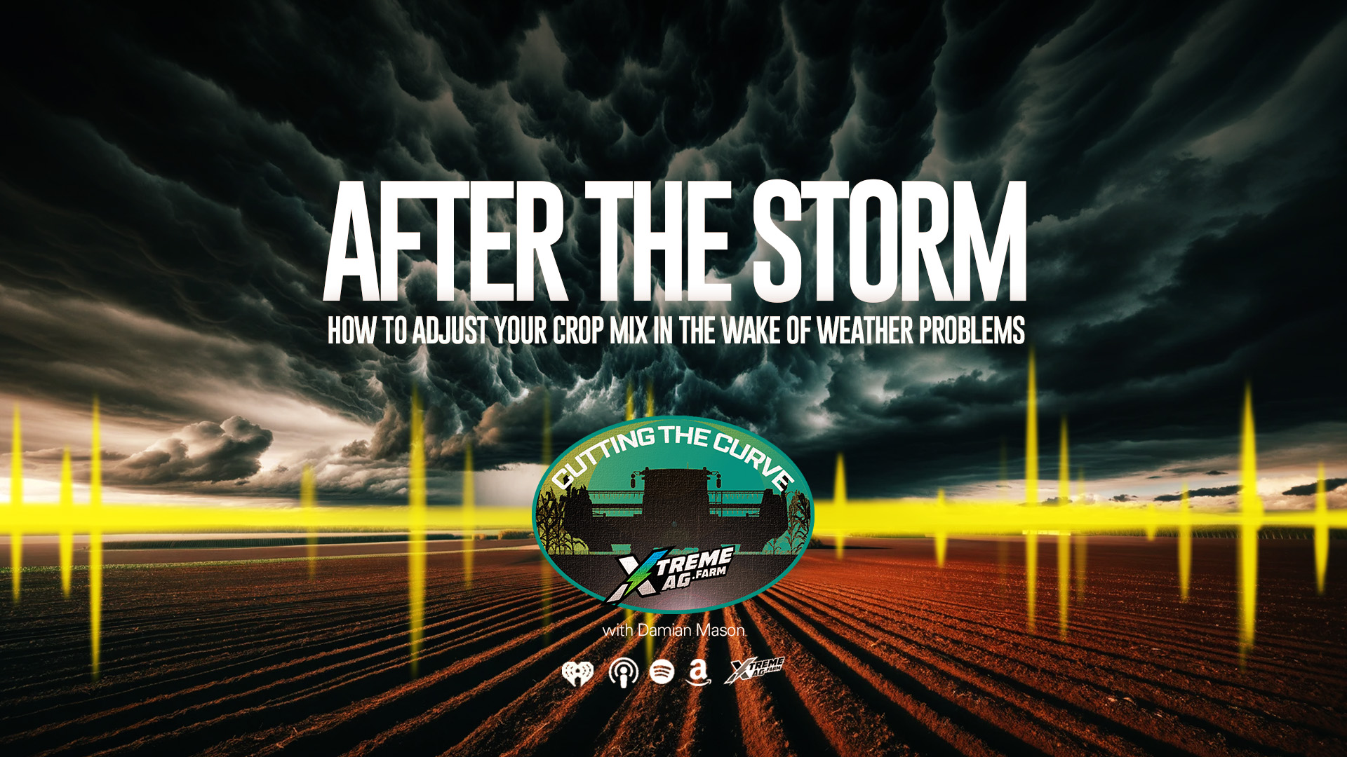 Podcast: Pivoting Crop Strategies After the Storm - How to profitably ...