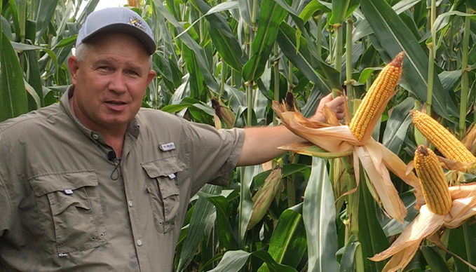 2020s Pioneer Corn Seed Trials Results And Insights