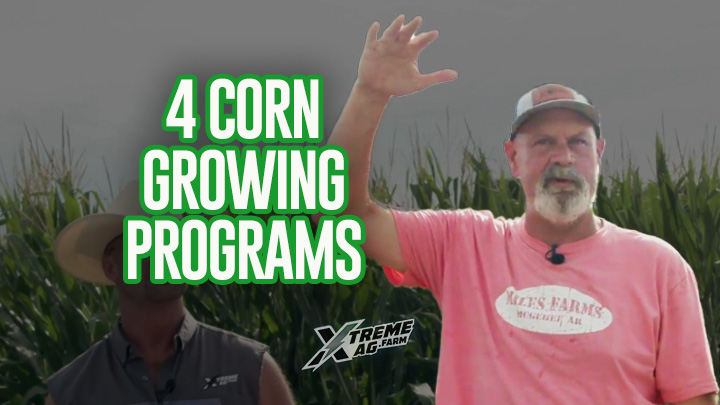 Four Corn Growing Programs: Comparing ROI and Fertility Programs